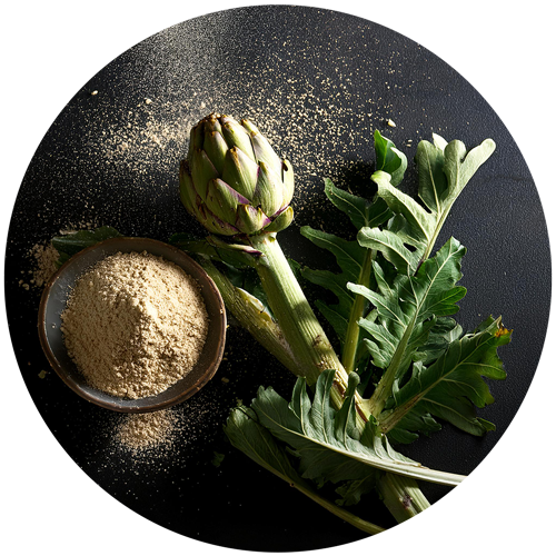 Artichoke - leaf - Pharmanager Ingredients