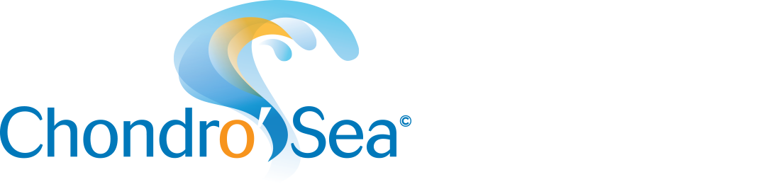 Premium ingredients for food supplements : Innovate your formulas