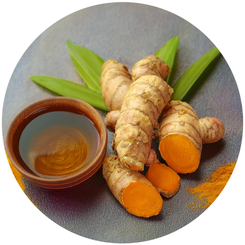 Curcuma Longa - Pharmanager Ingredients
