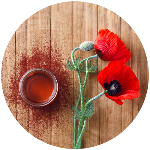 Poppy flower - Pharmanager Ingredients